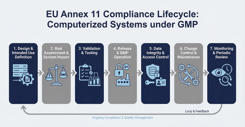 EU Annex 11: GMP Requirements for Computerized Systems
