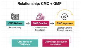 CMC and GMP: Difference Explained for Beginners 2026 Guide
