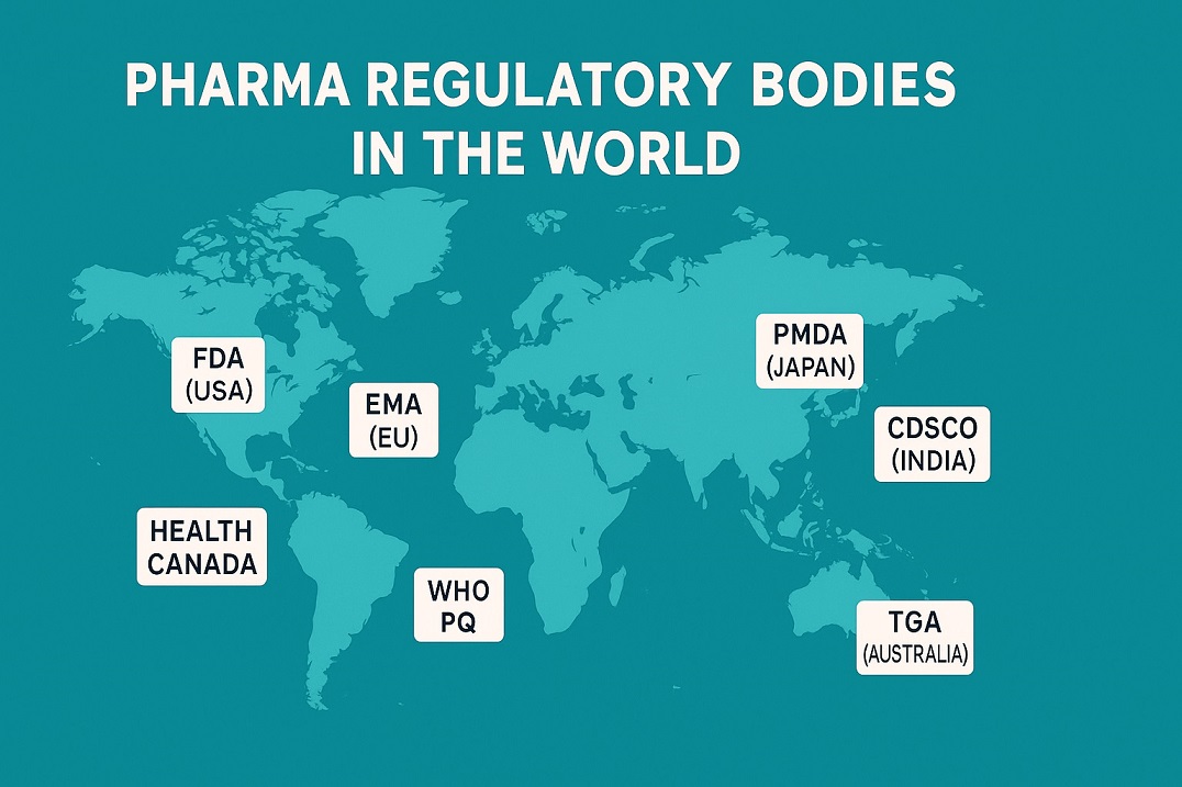 Global Pharma Regulatory Bodies; 2025 Guide